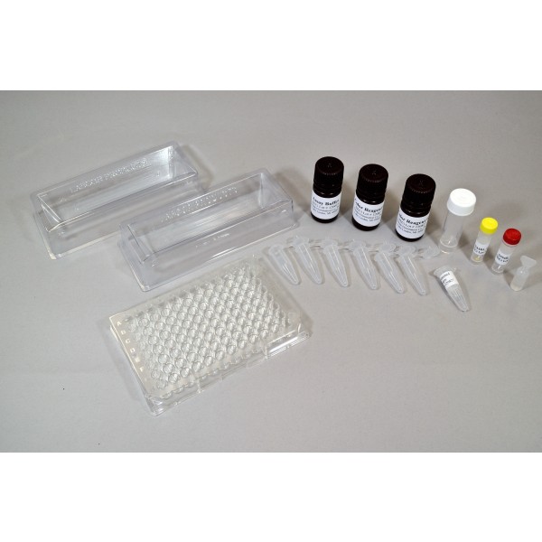 NECi Store NECi Nitrate Reductase Microplate Format Nitrate Test Kit